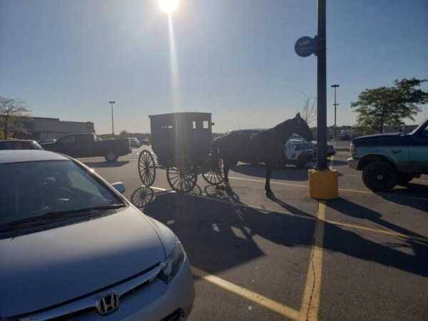 Random Pics van de Dag #1748 / Specials | FOK.nl